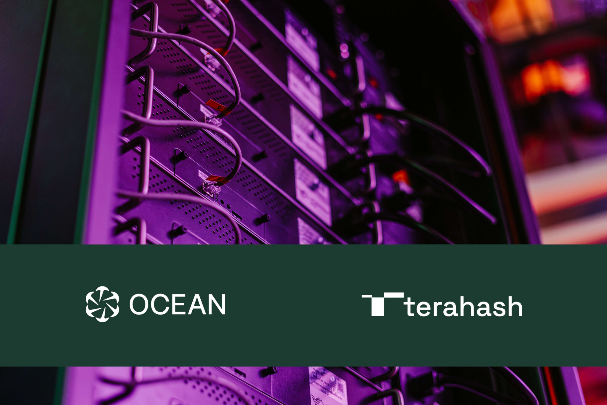 Dein Partner für Bitcoin Mining | terahash